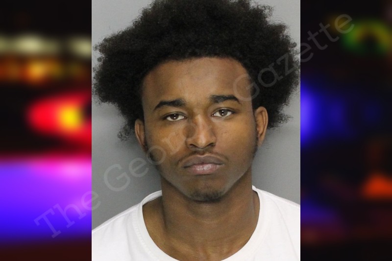 Lee Page — Cobb County Jail Bookings