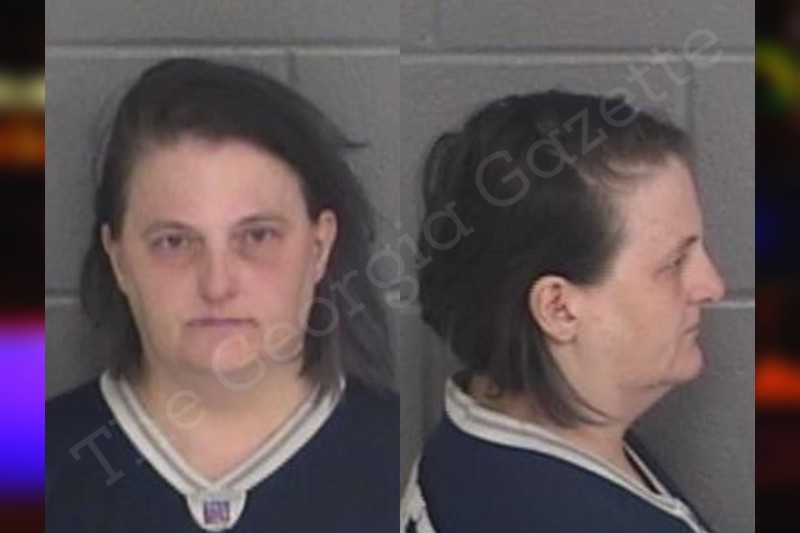 Julie Patterson — Barrow County Jail Bookings