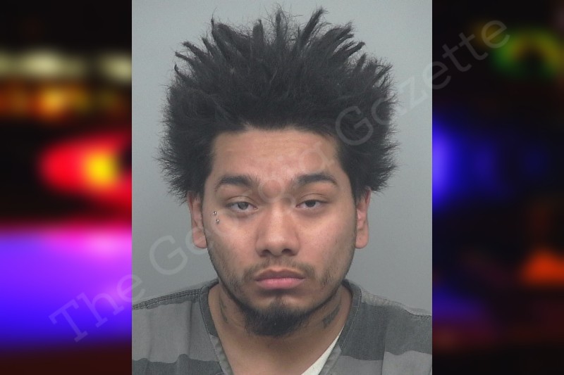 Isaac Ramirez-Vargas — Gwinnett County Jail Bookings
