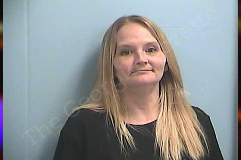 Elizabeth Reece — Dawson County Jail Bookings