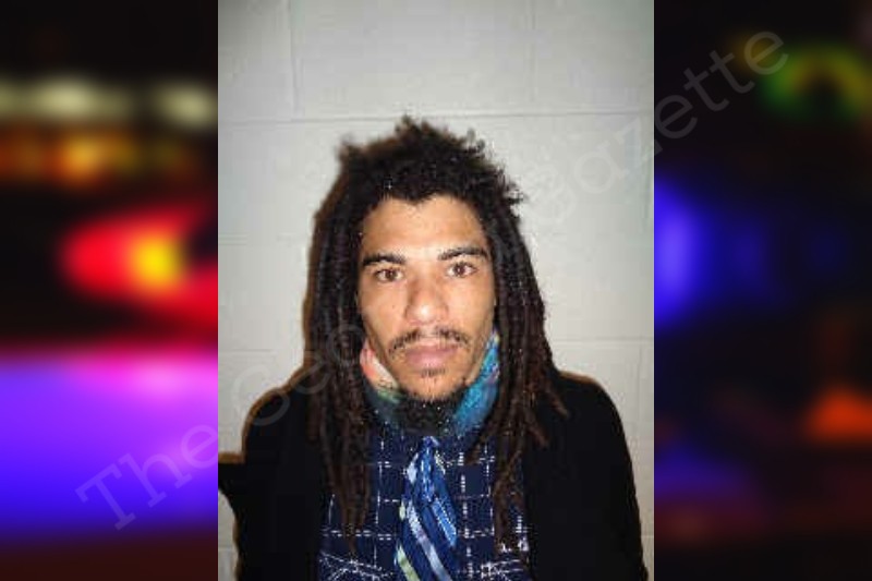 Matthew Register — Henry County Jail Bookings