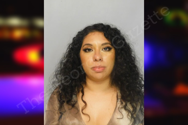 Briceida Rodriguez — Hall County Jail Bookings