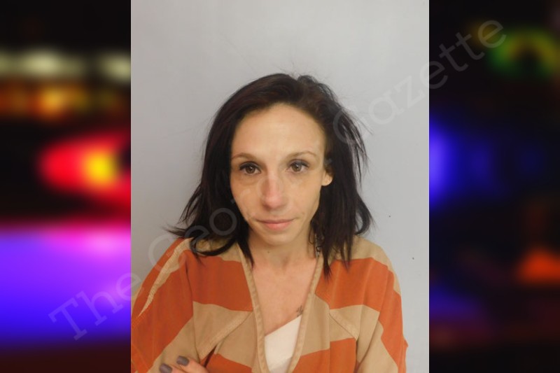 Kristina Rosenberg — Hall County Jail Bookings