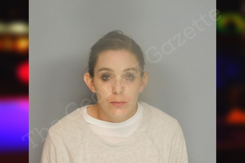 Erica Ross — Hall County Jail Bookings