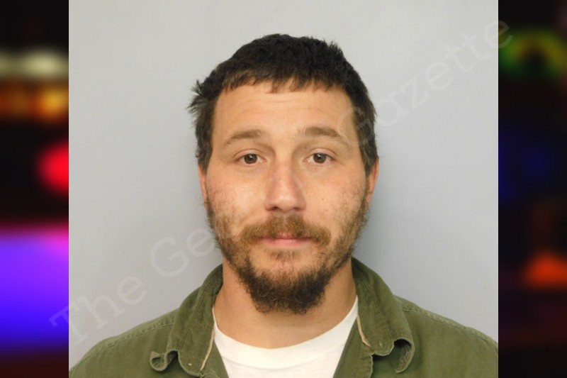 Jeffrey Sims — Hall County Jail Bookings