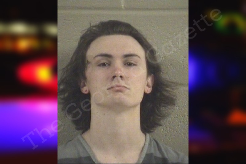 Shawn Collins — Whitfield County Jail Bookings