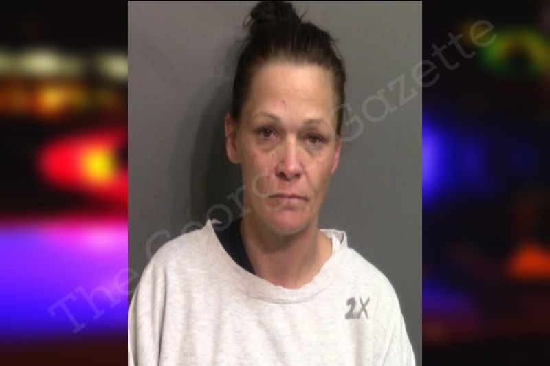 Amanda Sheffield — Glynn County Jail Bookings