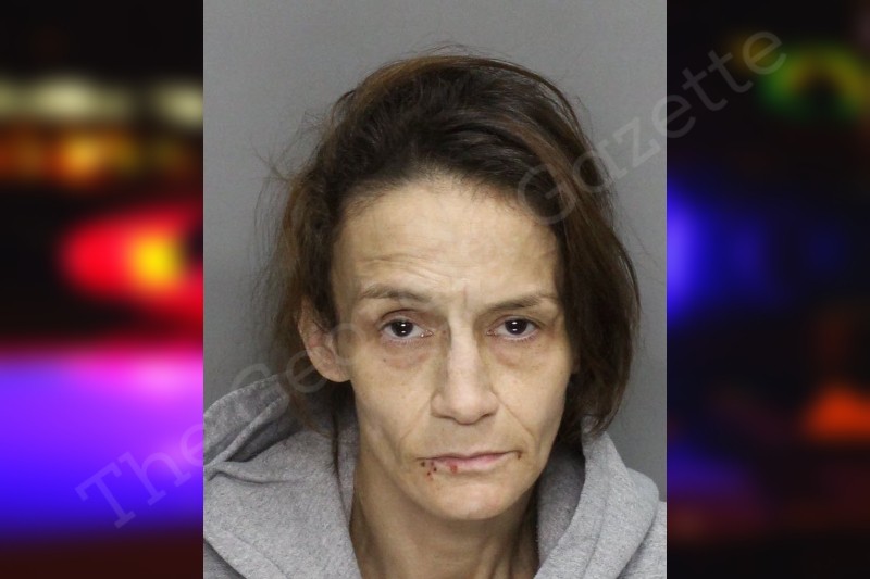 Danielle Stephens — Cobb County Jail Bookings