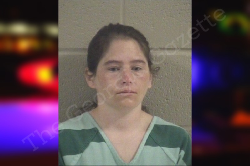 Tamara Rymer — Whitfield County Jail Bookings