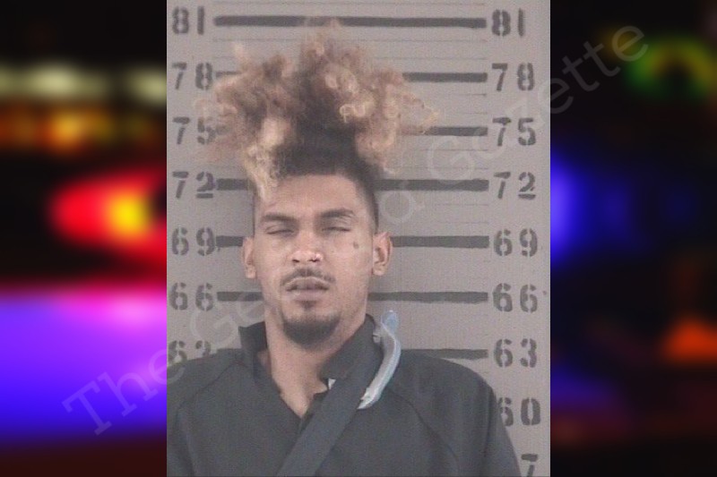 Davin Turner — Dougherty County Jail Bookings