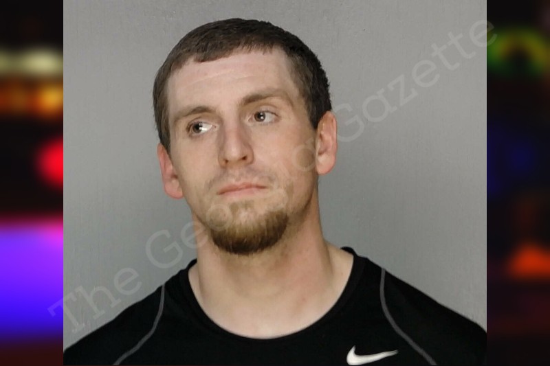 Tyler Bliss — Bibb County Jail Bookings