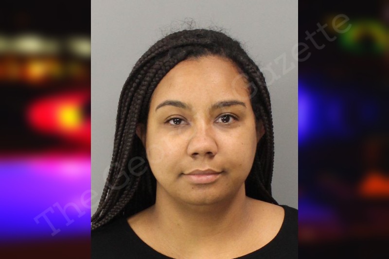 Ashley Varner — Cobb County Jail Bookings