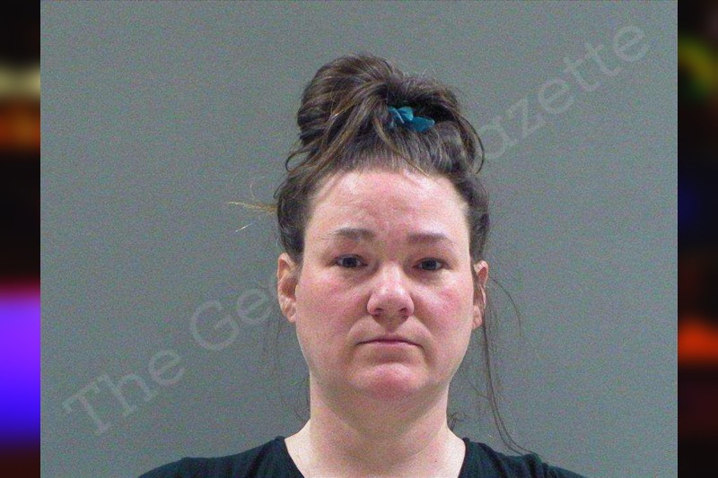 Sarah Waggoner — Rabun County Jail Bookings