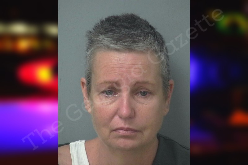 Lisa Walker — Gwinnett County Jail Bookings