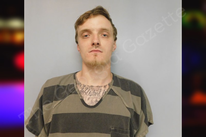 Brandon Watkins — Hall County Jail Bookings