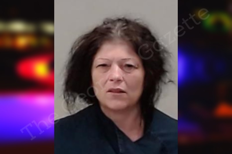 Lisa Whitson | Lowndes County Jail Bookings