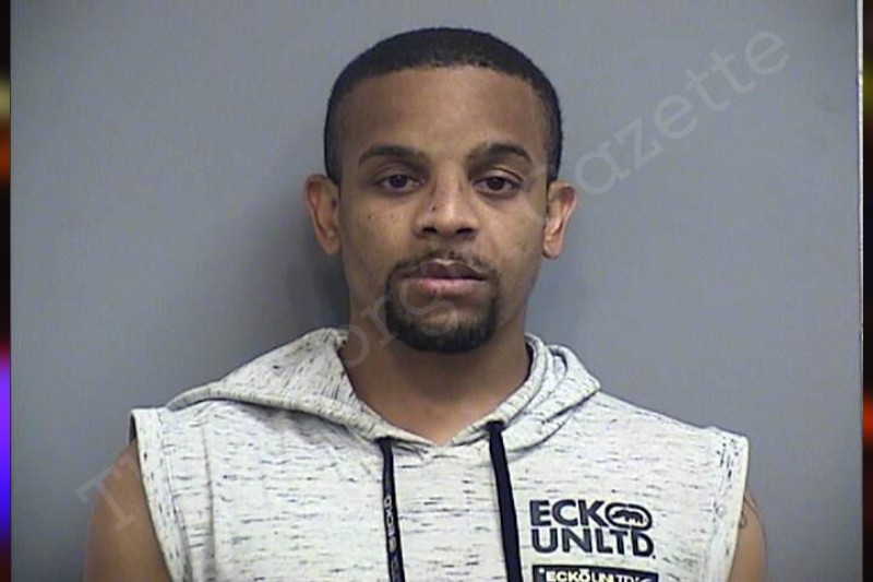 Mark Wilson — Effingham County Jail Bookings