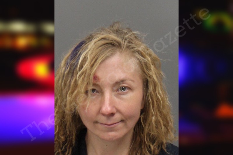 Jessica Weems — Cobb County Jail Bookings