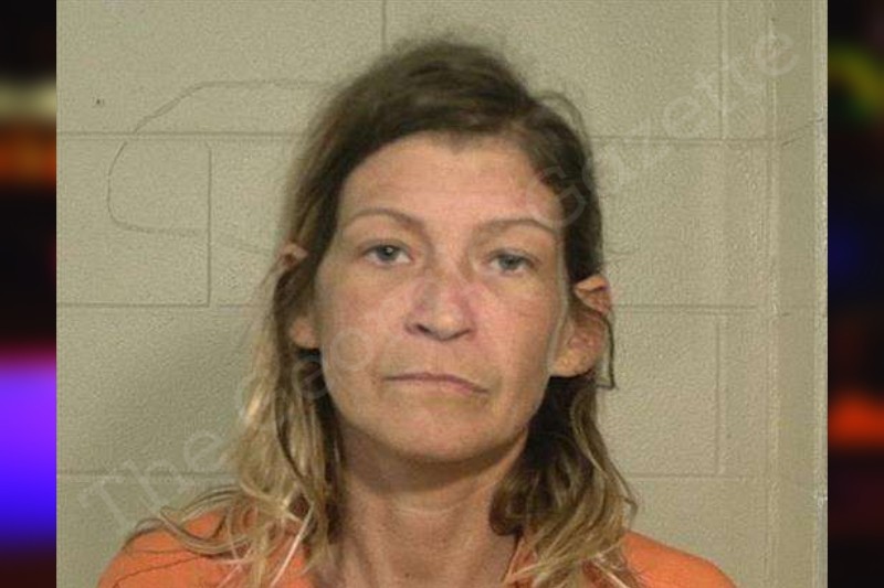 Jennifer Wiggins — Liberty County Jail Bookings