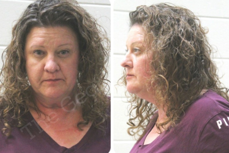 Deanne Wilson — Houston County Jail Bookings