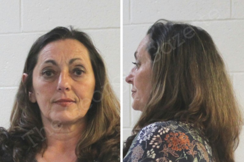 Deborah Wilson — Houston County Jail Bookings