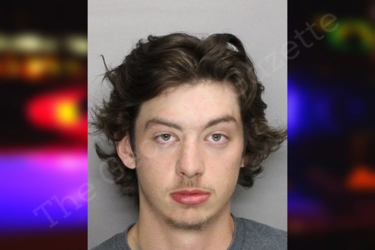 Nathan Hogan — Cobb County Jail Bookings