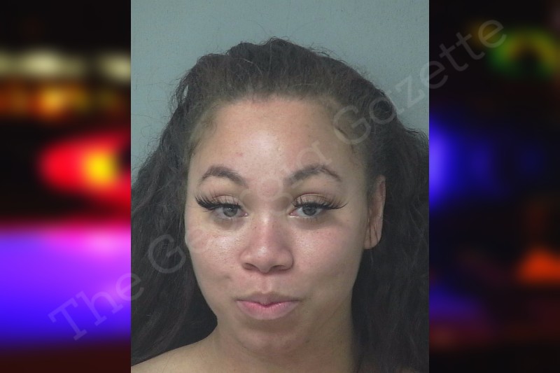 Aubree Anderson — Gwinnett County Jail Bookings