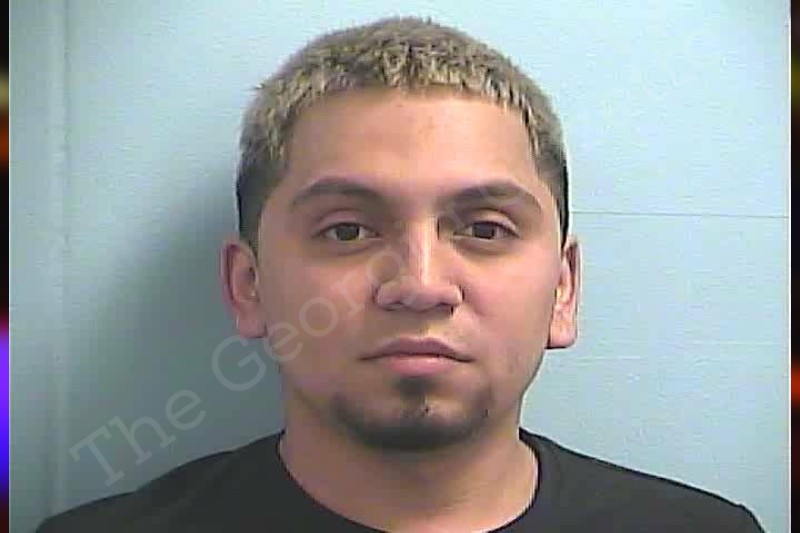 Edgar Aleman — Dawson County Jail Bookings