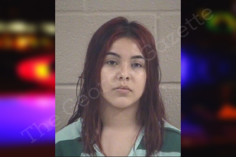 Arely Cervantes — Whitfield County Jail Bookings