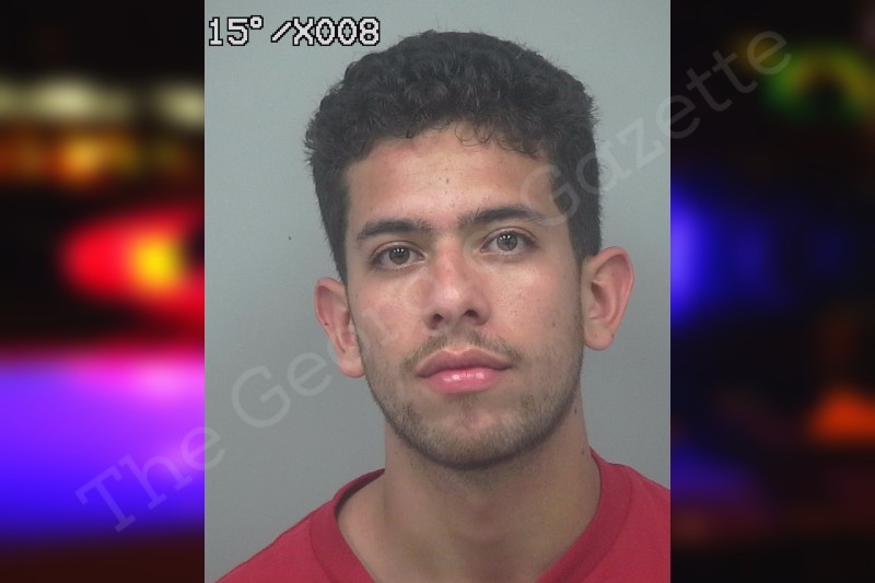 Nicholas Baron — Gwinnett County Jail Bookings