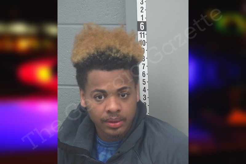 Mason Barrow — Gwinnett County Jail Bookings