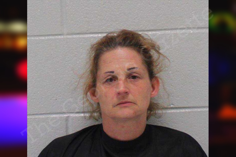Becky Belcher — Carroll County Jail Bookings
