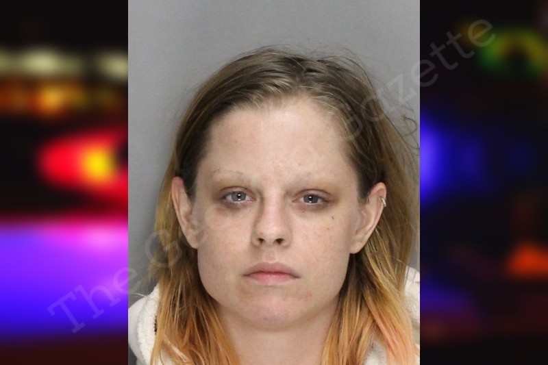 Kimberly Bounds — Cobb County Jail Bookings