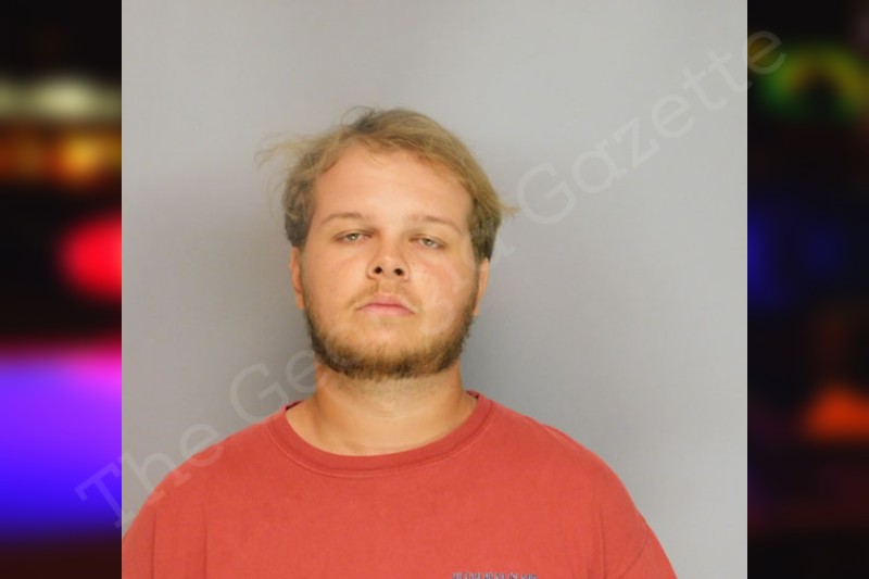 Grayson Brown — Hall County Jail Bookings