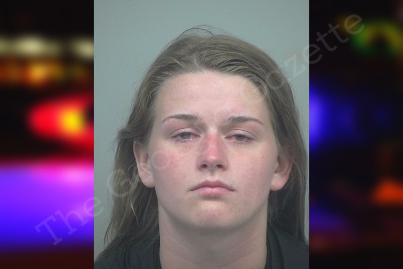 Haley Bogiel — Gwinnett County Jail Bookings
