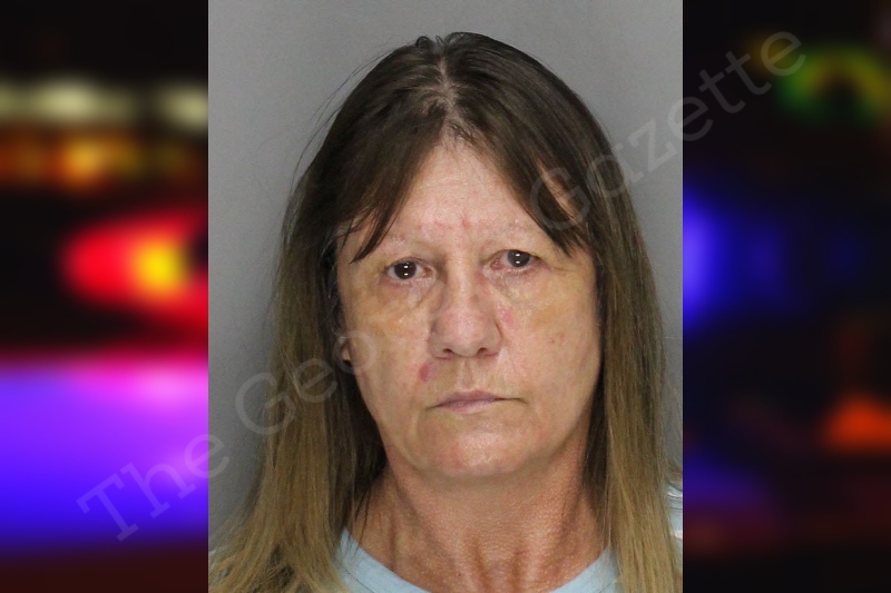 Brenda Bradford — Cobb County Jail Bookings