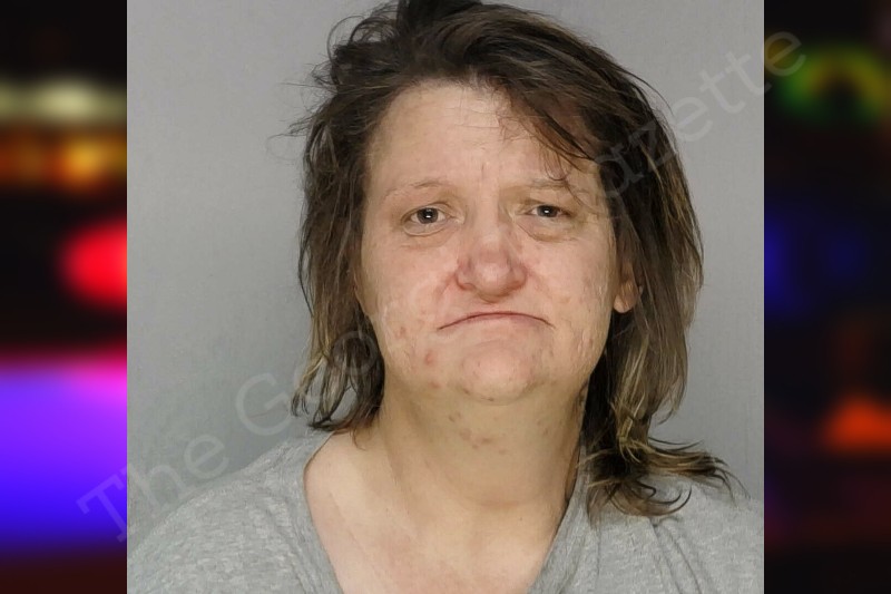 Brandy Hinson — Bibb County Jail Bookings