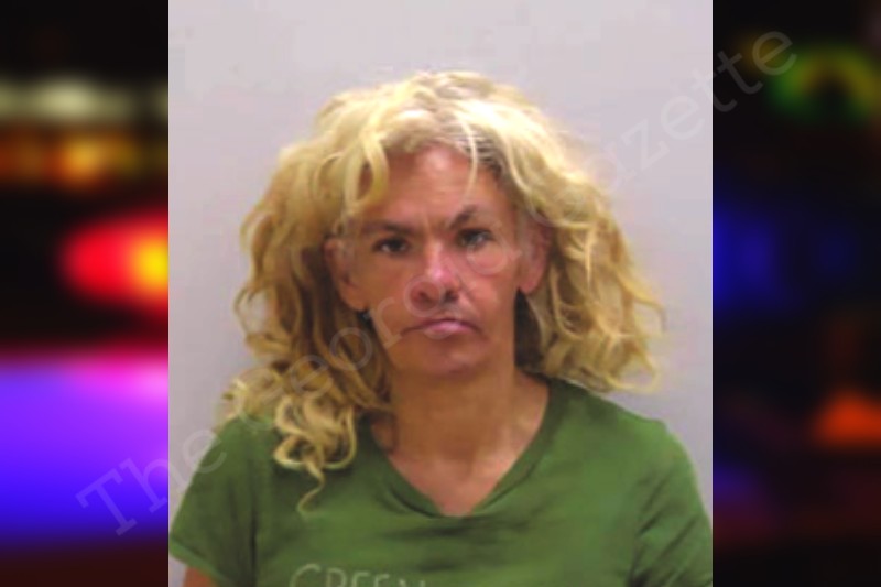 Tensia Brawner — Bartow County Jail Bookings