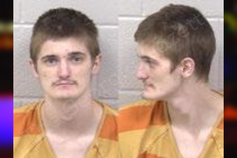 Taylor Brown — Paulding County Jail Bookings