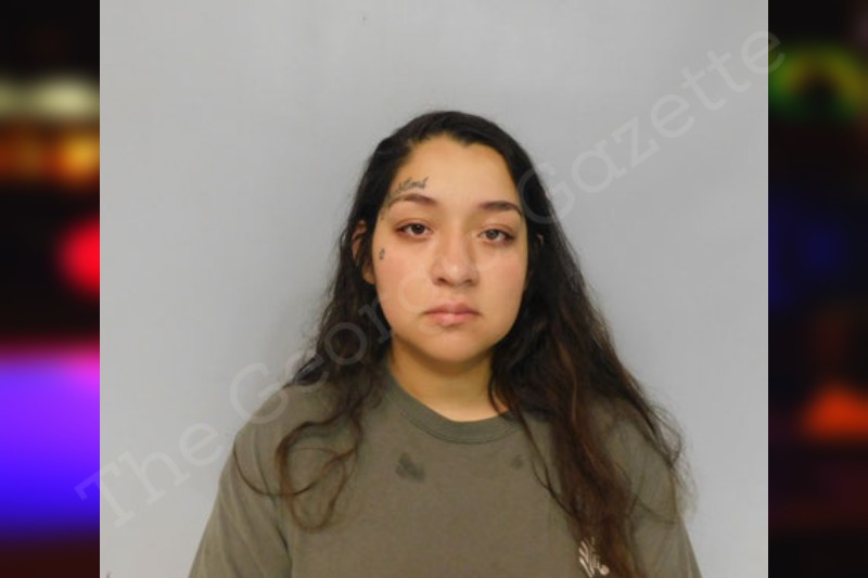 Maritza Castillo — Hall County Jail Bookings