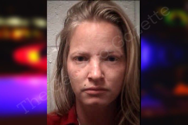 Sarah Coffee — Henry County Jail Bookings