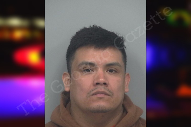 Ignacio Cruz — Gwinnett County Jail Bookings
