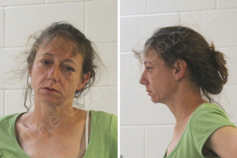 Kristin Chambers — Houston County Jail Bookings