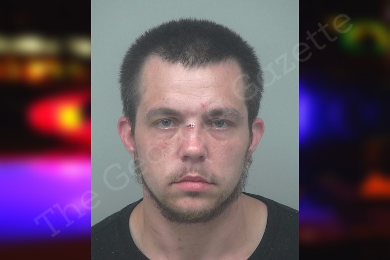 Alan Dyer — Gwinnett County