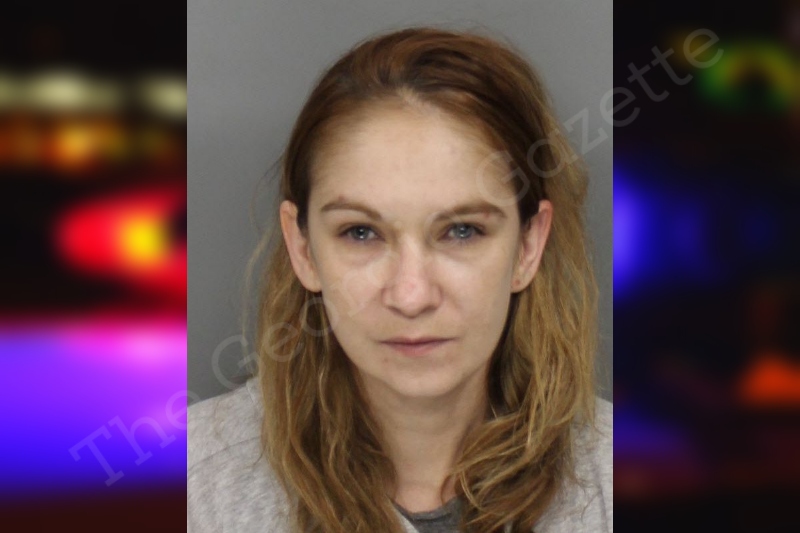 Elena Datsyuk — Cobb County Jail Bookings