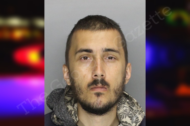 Christian Dejak — Cobb County Jail Bookings