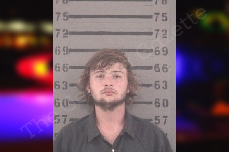 Taylor Demott — Dougherty County Jail Bookings