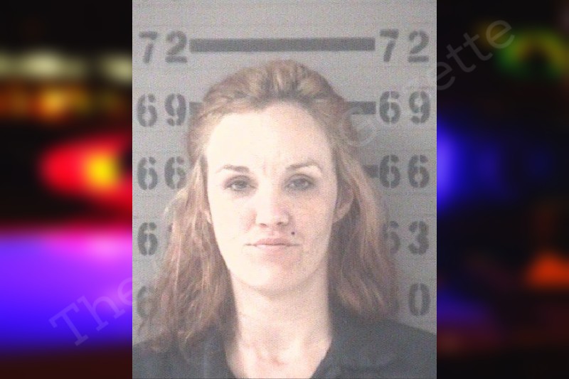 Heather Denny | Dougherty County Jail Bookings