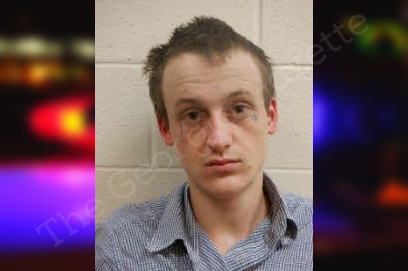 Timothy Evans — Henry County Jail Bookings