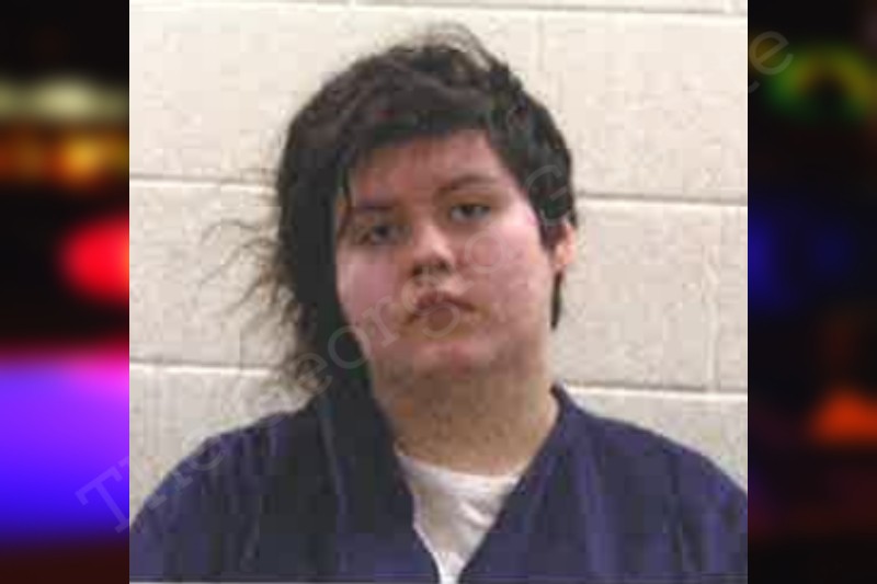 Jessica Earley — Pickens County Jail Bookings